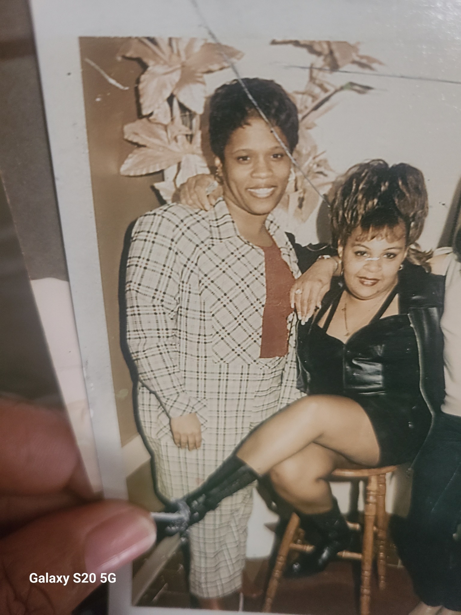 Undera Pointer | FabOver40