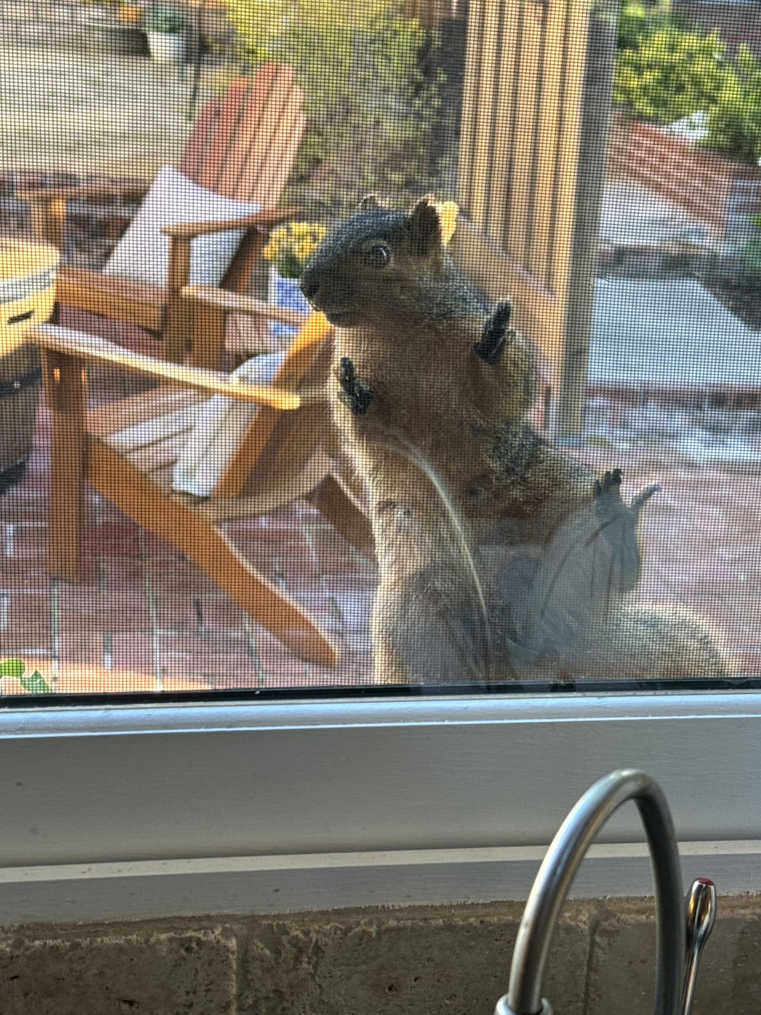 Wendy Reiser | FabOver40