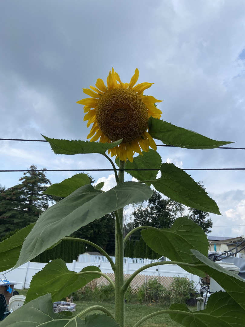 Stacy Rivera | FabOver40